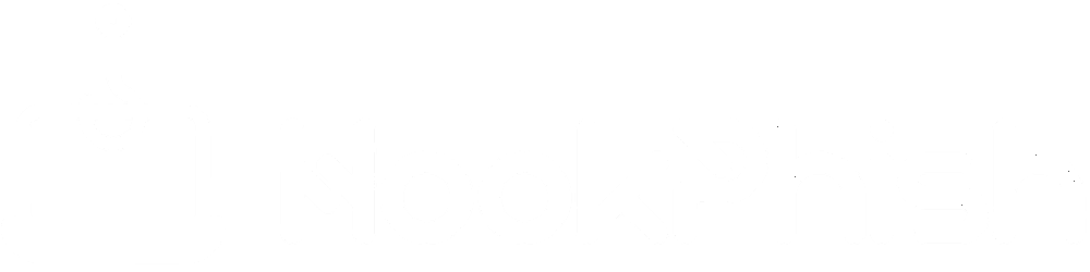 Alt Vision - HookPhish